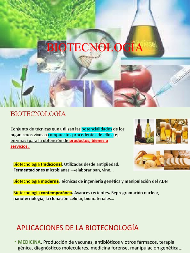BIOTECNOLOGÍA | PDF | Adn | Ingeniería genética