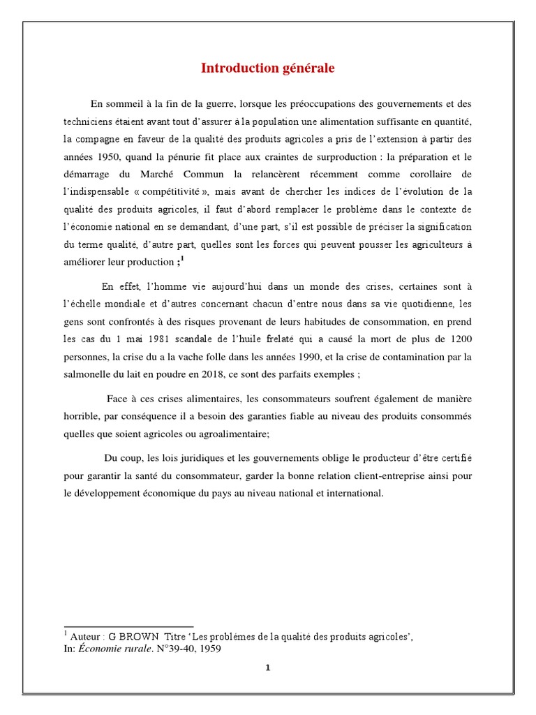 Loiskari Halima - Pfe | PDF | Business | Audit