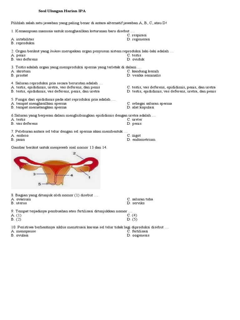 Latihan Soal IPA Sistem Reproduksi Manusia Kelas 9 SMP K13 | PDF