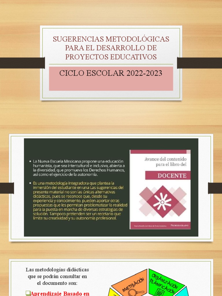 Sugerencias Metodológicas Para El Desarrollo De Proyectos Educativos Pdf