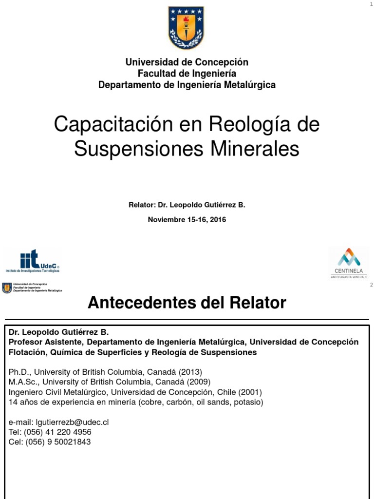 Modificadores Reológicos en Suspensiones | PDF