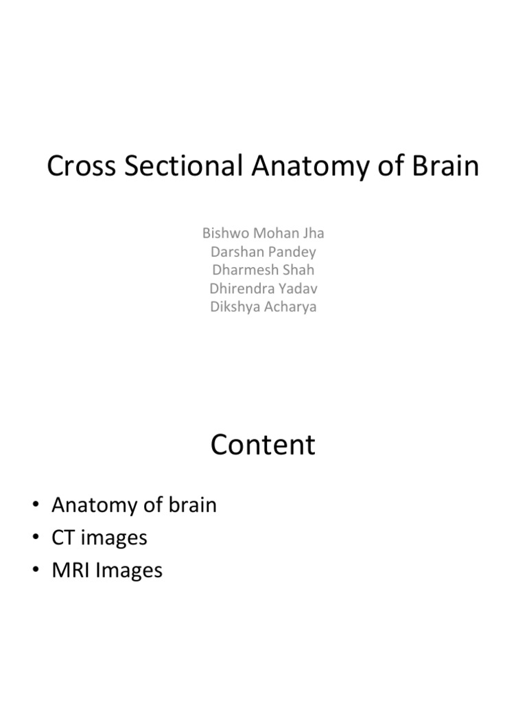 Anatomy of Brain | PDF