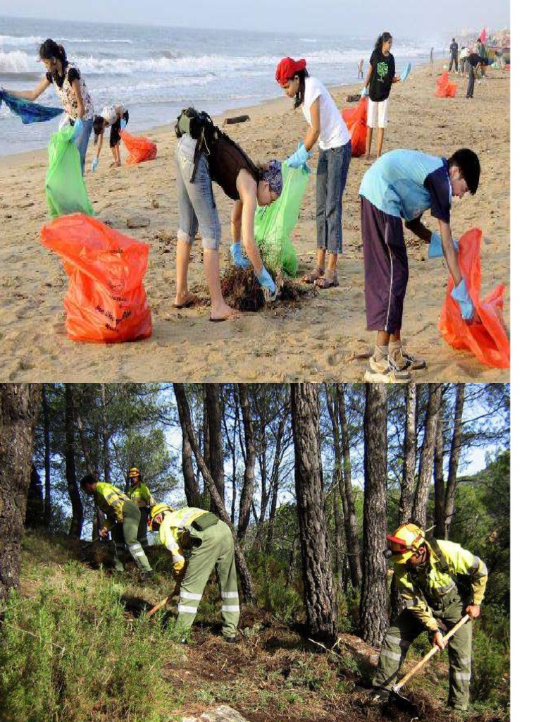 B1 English - Picture Description - Environment 4 | PDF