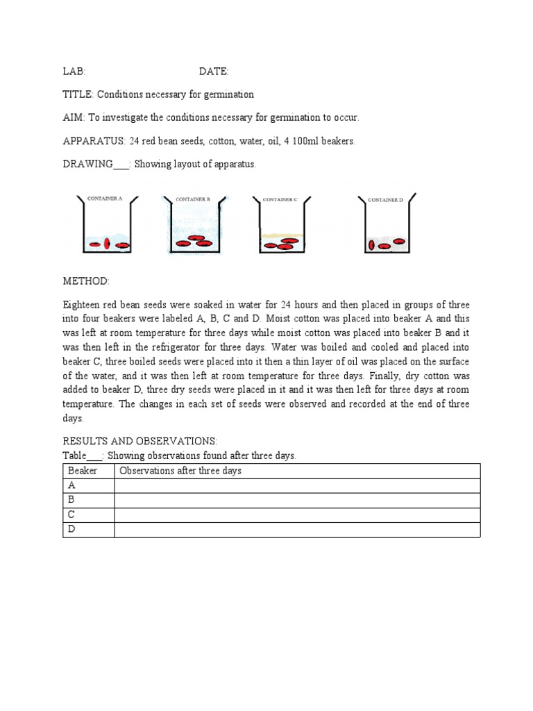 Germination Conditions Lab Report | PDF