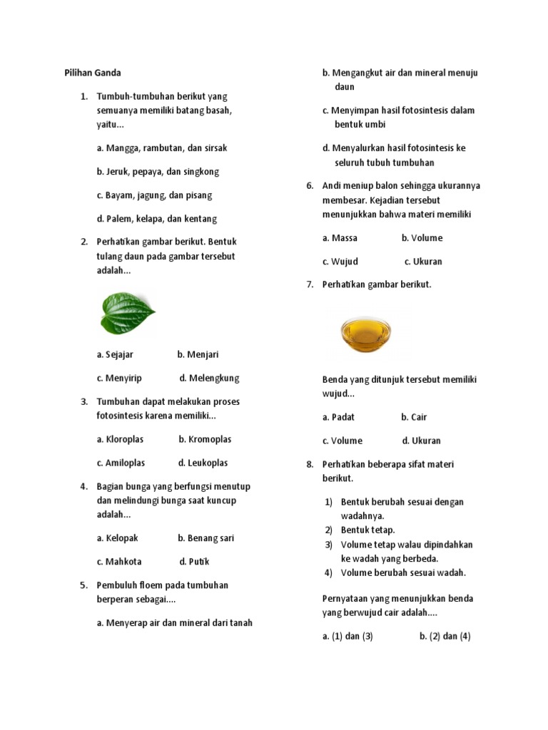 Latihan Soal IPAS Kelas 4 | PDF