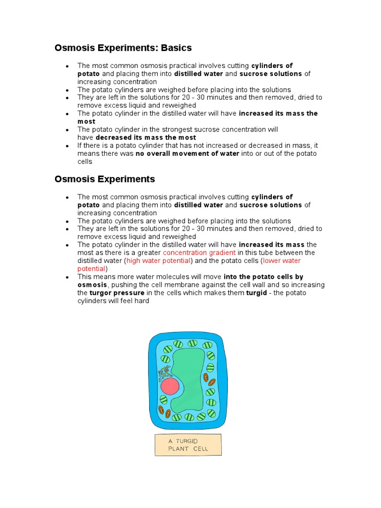 Igcse Experiments Pdf Osmosis Chemical Engineering