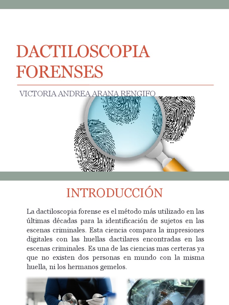 Unidad 8 - Dactilos | PDF