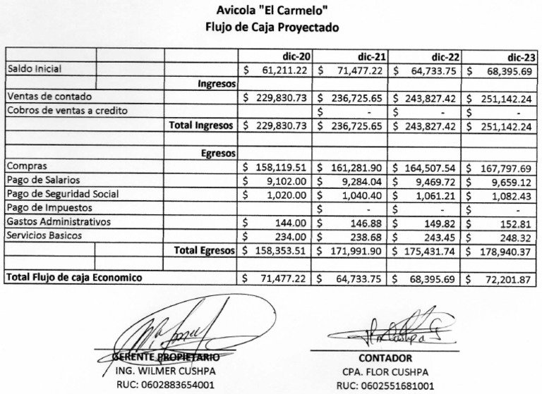 Flujo de Caja Proyectado | PDF