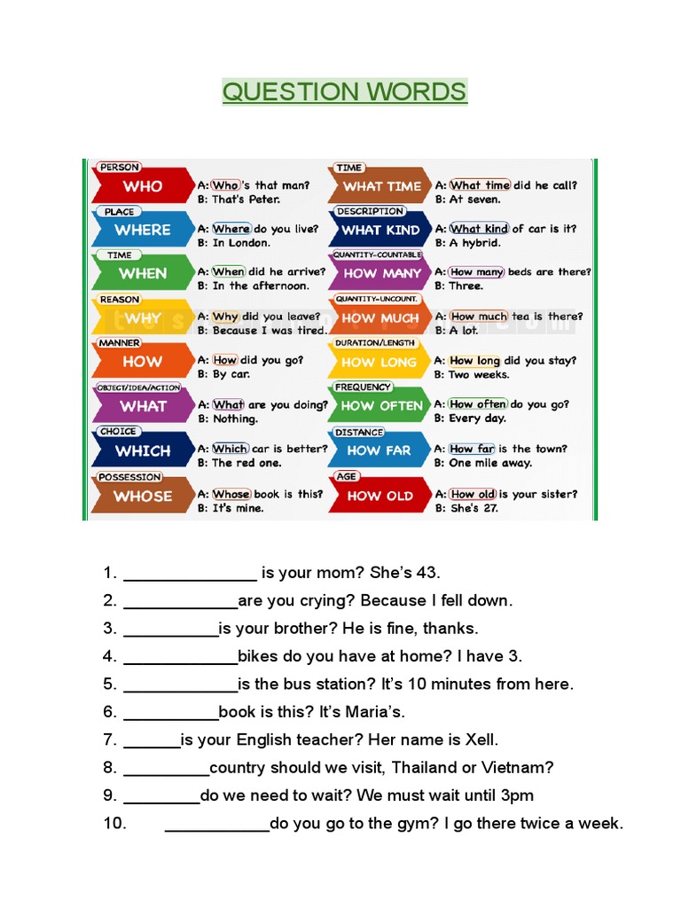 Question Words | PDF