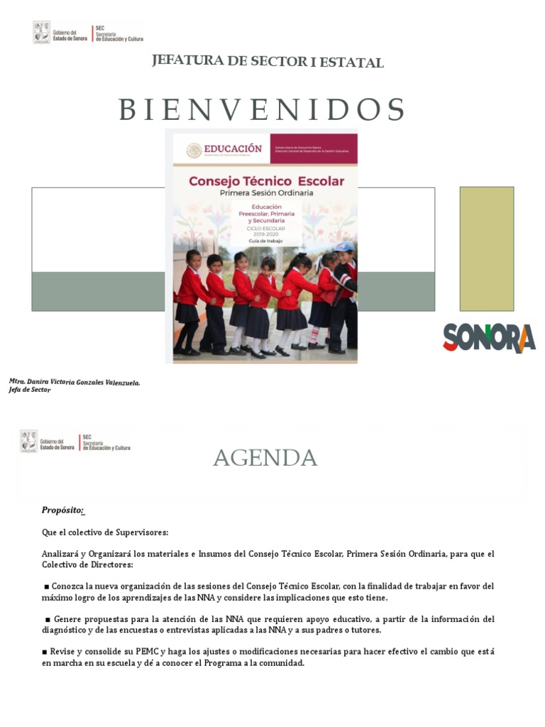 Presentacion Cte | PDF