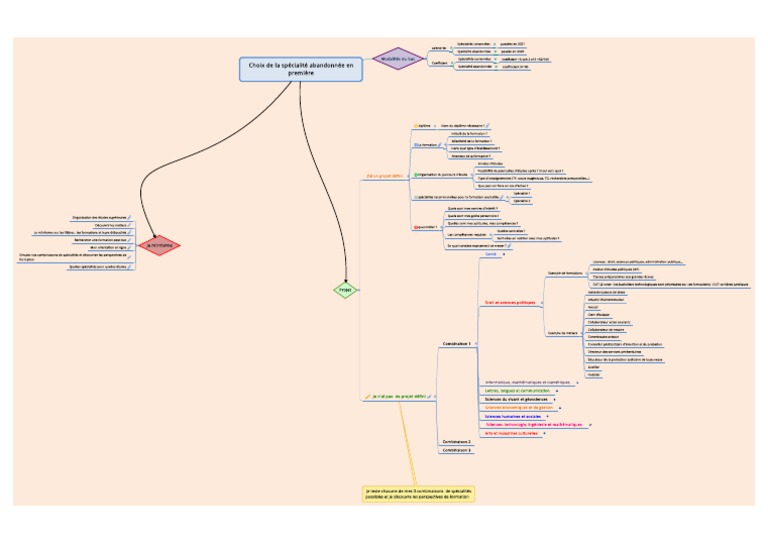 Carte Mentale Choix Specialite Abandonnee Premiere | PDF
