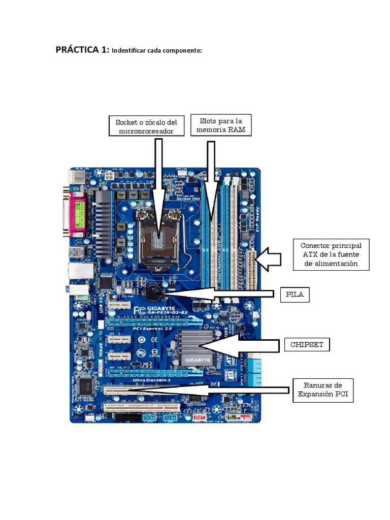Práctica 1 - Placas Base | PDF | Ingeniería Informática | Protocolos de capa física