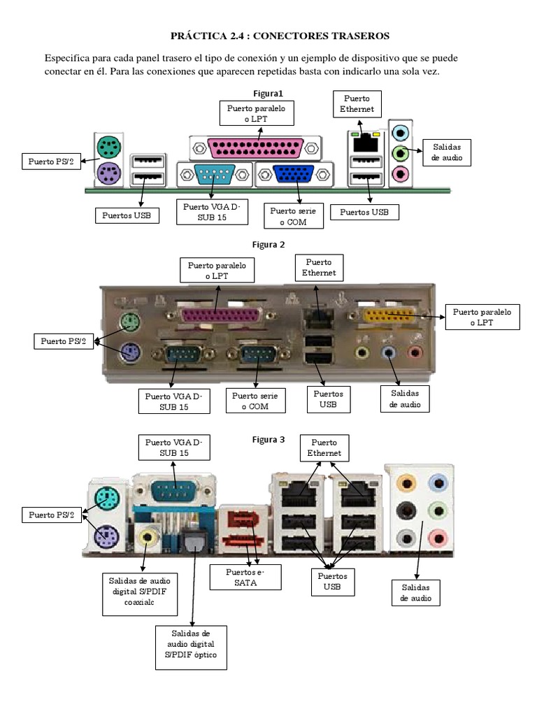 Conectores del Panel Trasero de PC | PDF | USB | Ciencias de la Computación