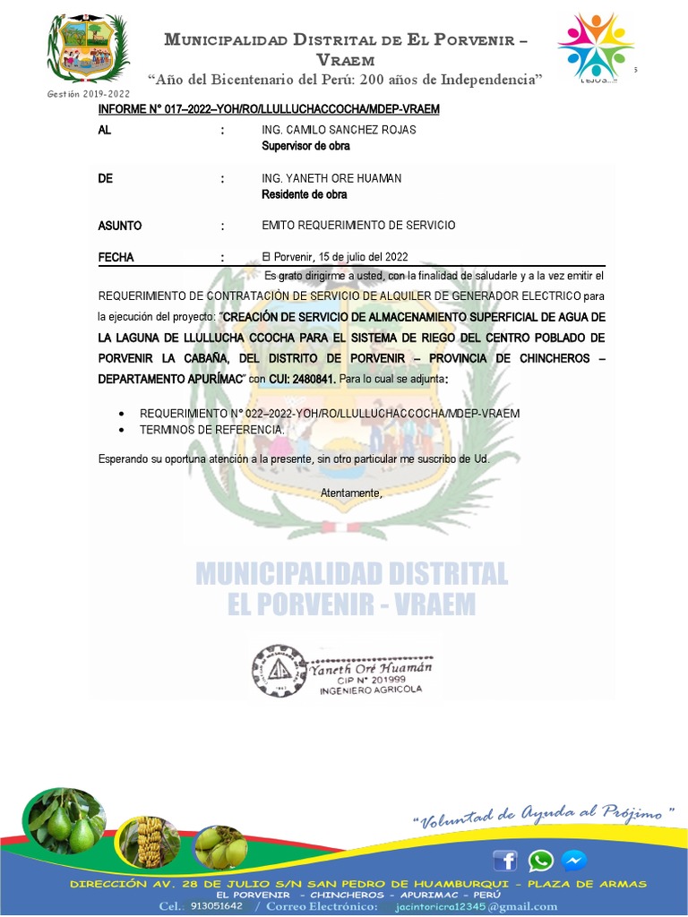 Informe #017 - Requerimiento Servicios Generador | PDF