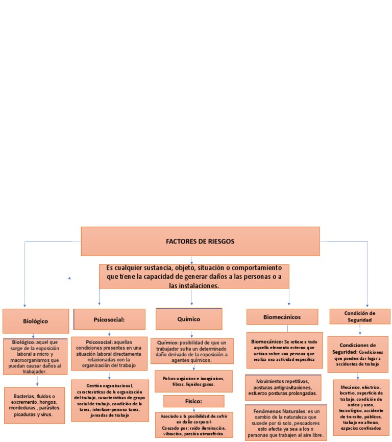 Mapa Conceptual de Factores de Riesgos | PDF