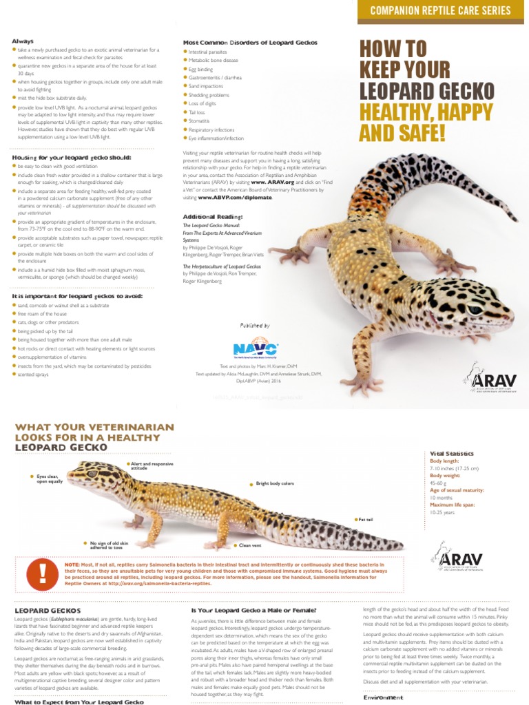 ARAV Trifold Leopard Gecko r2 | PDF