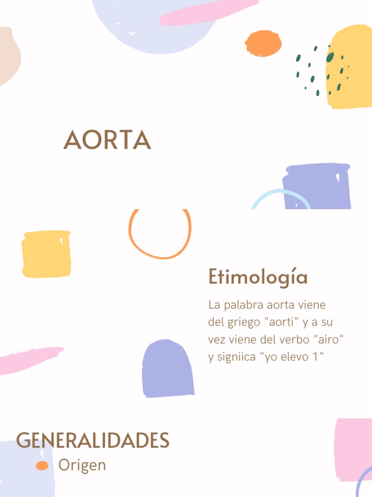 Anatomía de La Aorta | PDF | Aorta | Abdomen