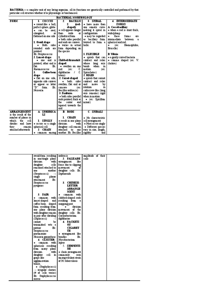 Bacteria Morphology | PDF | Angular Resolution | Staining