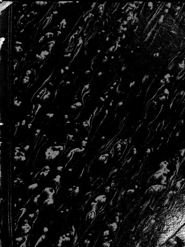 Vivien. Tertullianus Praedicans. 1856. Tomus II. | PDF