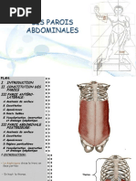 Anatomie de La Paroi Abdominale | PDF | Péritoine | Abdomen