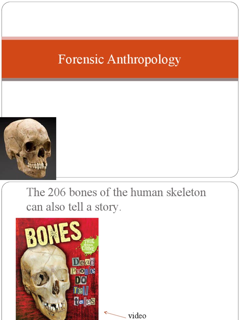Forensic Anthropology Bones Tell Stories | PDF | Skull