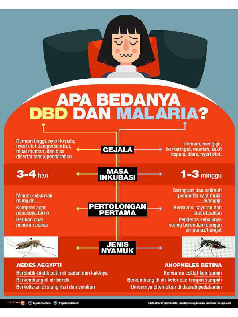 1481097195-Infografis DBD Dan Malaria-REV | PDF