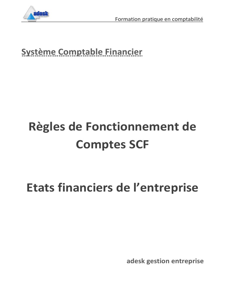 Règles des Comptes SCF en Algérie | PDF | Affaires | Ordinateurs