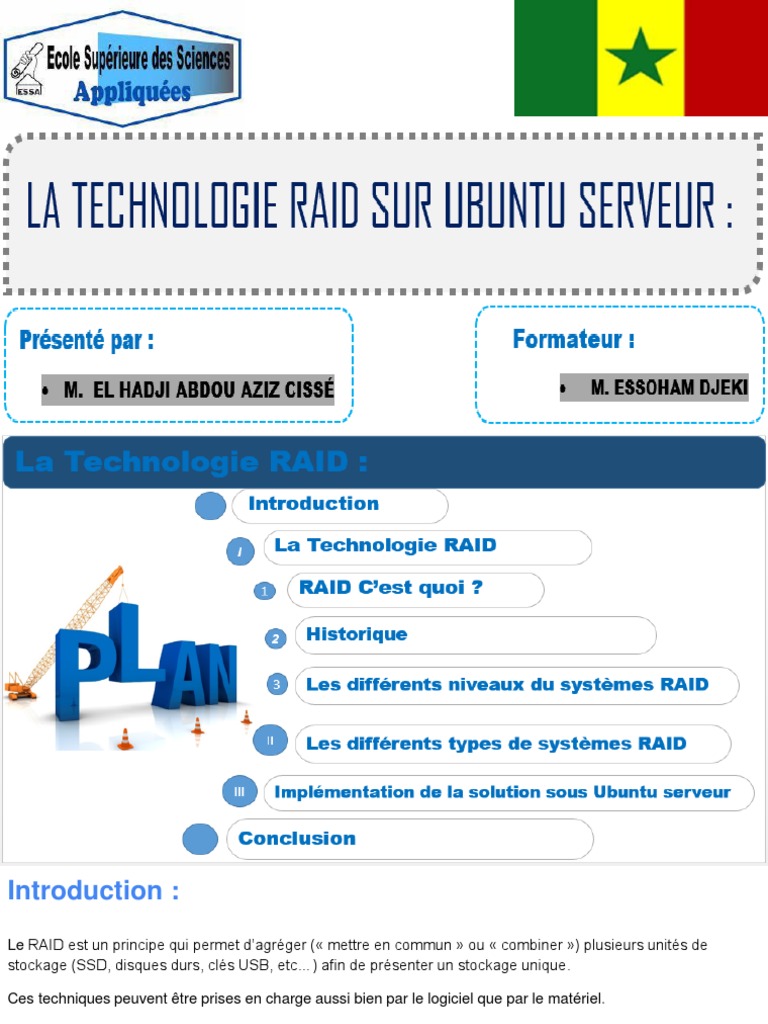 Comprendre la Technologie RAID | PDF | Classes d'ordinateur | Âge de l'information