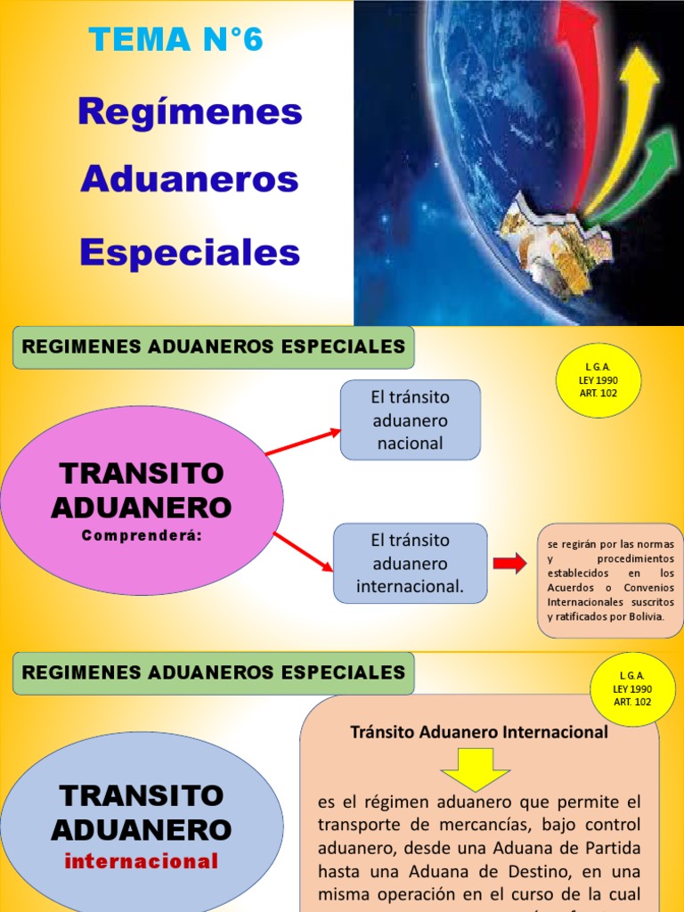Tema 6 Regímenes Especiales | PDF | aduana | Comercio
