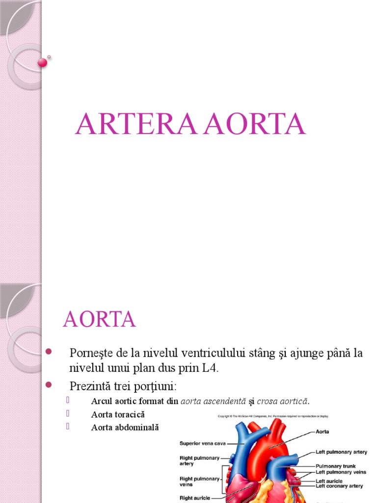 Artera Aorta | PDF