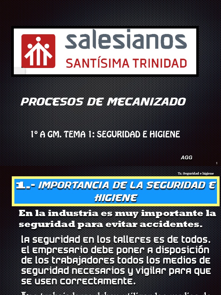 Tema 1 Seguridad e Higiene | PDF | Seguridad y salud ocupacional | Valores
