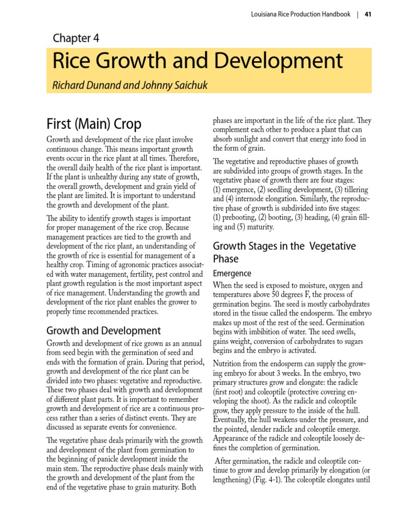 Rice Growth and Development | PDF