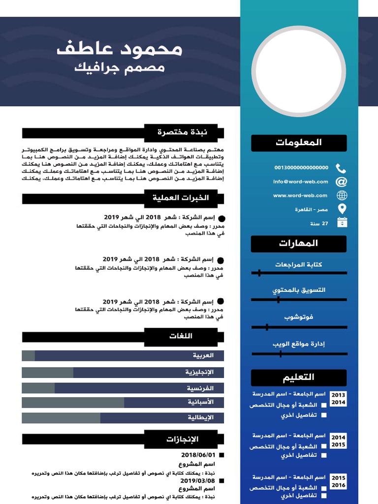 CV Word Web PDF Arabic 2 | PDF