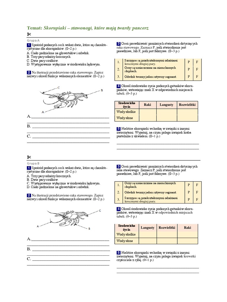 Skorupiaki Stawonogi Ktore Maja Twardy Pancerz Kar | PDF