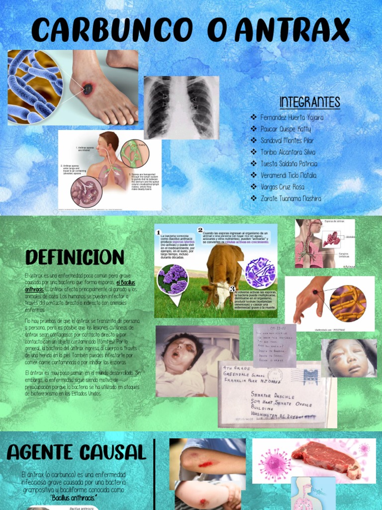 Carbunco o Antrax | PDF