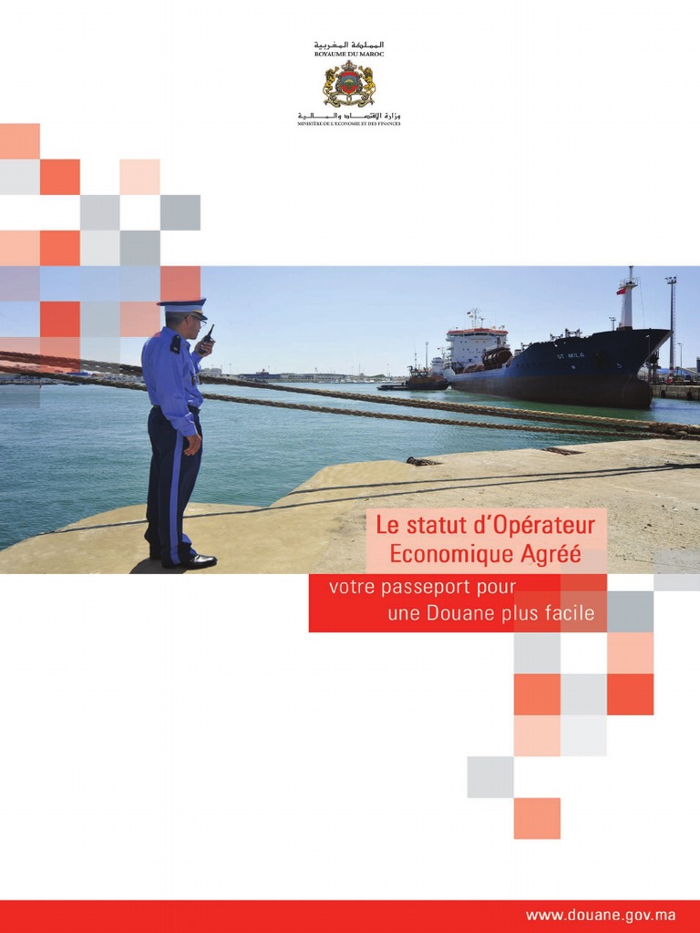 Guide Oea Douanes Maroc | PDF | Audit | Sécurité des systèmes d'information