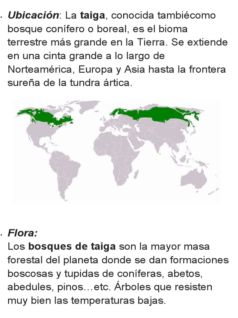 Características del Bioma Taiga | PDF