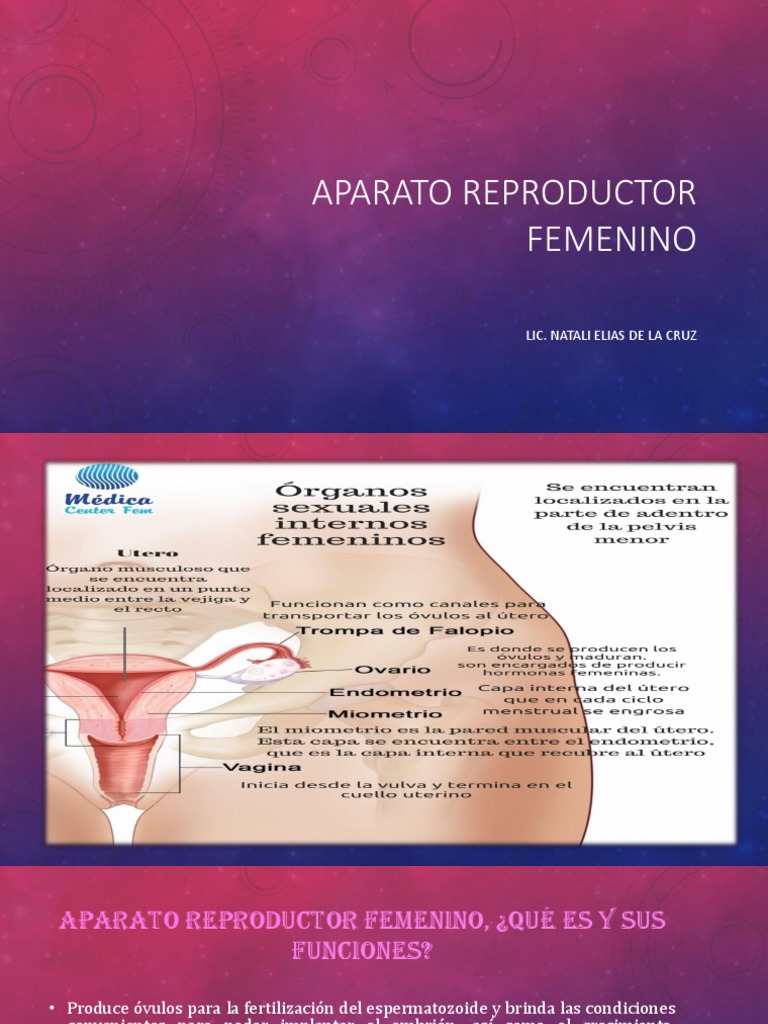 Aparato Reproductor Femenino | PDF | Sistema reproductivo | Vagina