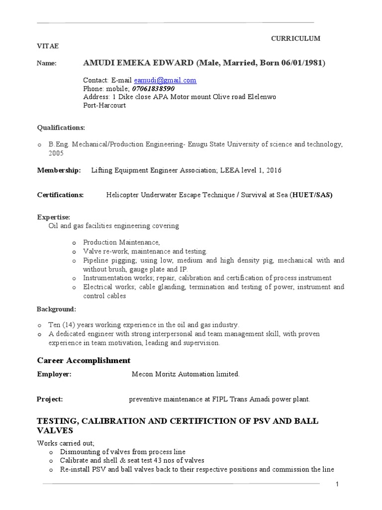 AMUDI EMEKA CV For Chevron | PDF | Calibration | Valve