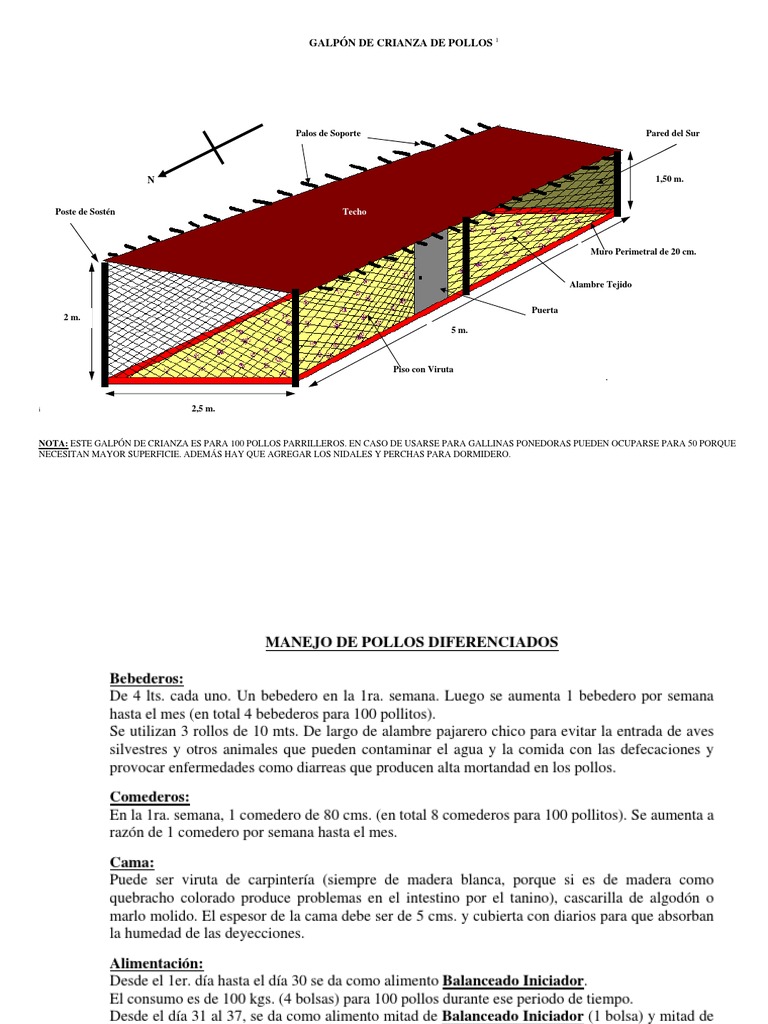 Galpon de Crianza de Pollos | PDF | Pollo | Alimentos