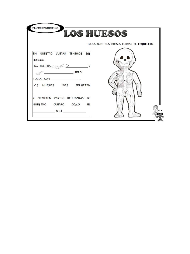 Cuaderno Interactivo El Cuerpo Humano Segundo Básico | PDF