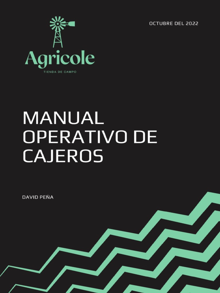 Manual Operativo Cajeros | PDF | Usuario (informática) | Informática