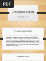 Nanism Hipofizar Si Tiroidian | PDF