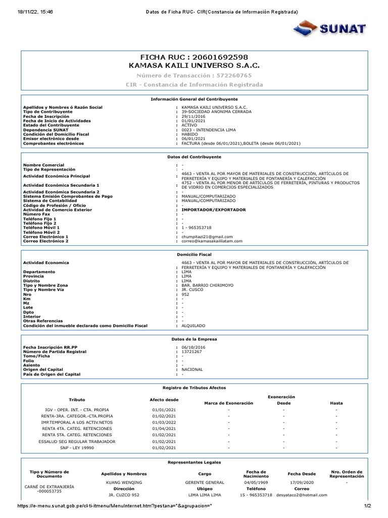 Ficha Ruc | PDF | Industrias de servicio | Economias