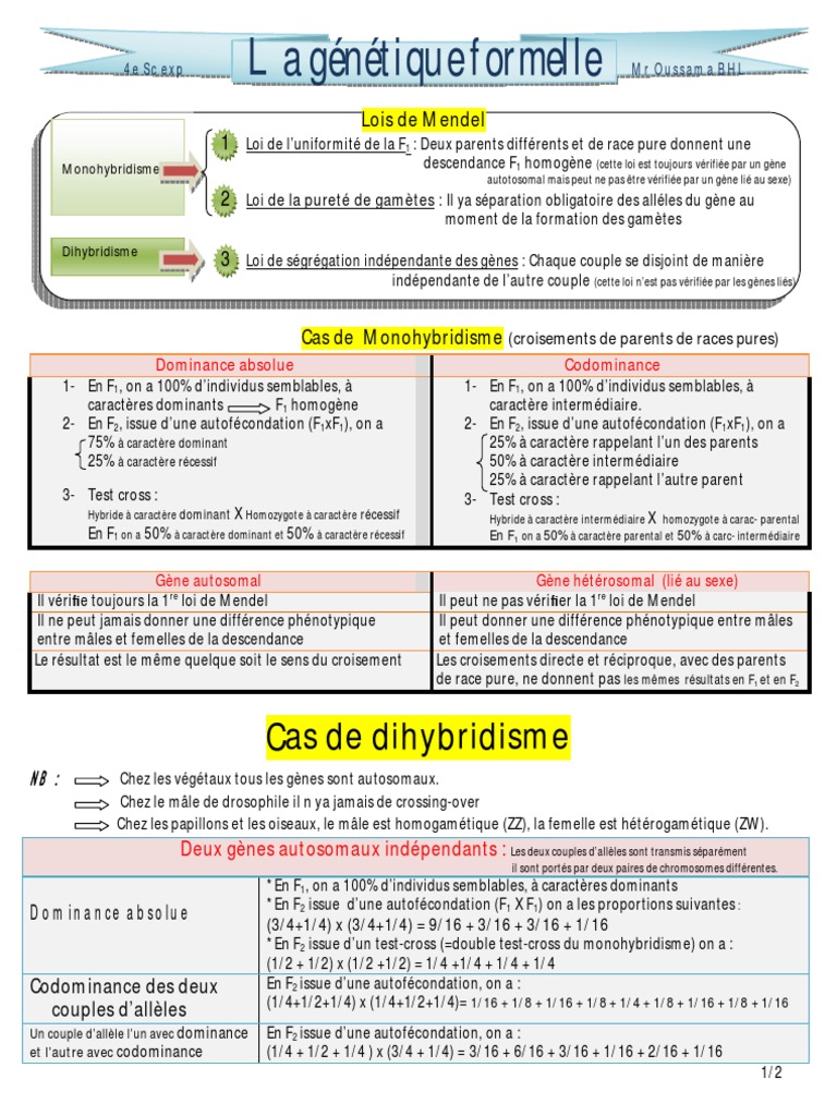 Lois de Mendel et Croisements Génétiques | PDF | Hybride (Biologie) | la reproduction