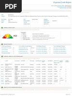 Credit Report | PDF | Credit History | Credit