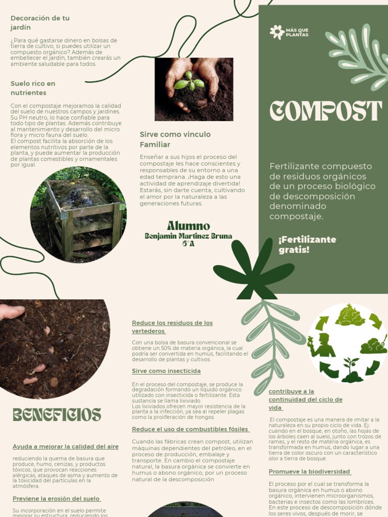 Flyer Folleto Triptico Plantas Vivero Divertido Moderno Orgánico Verde ...