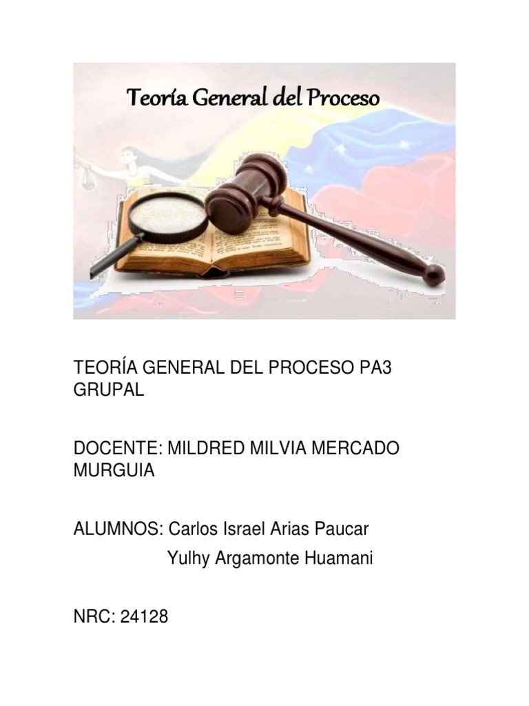 Teoría General Del Proceso Pa3 Grupal 1 | PDF
