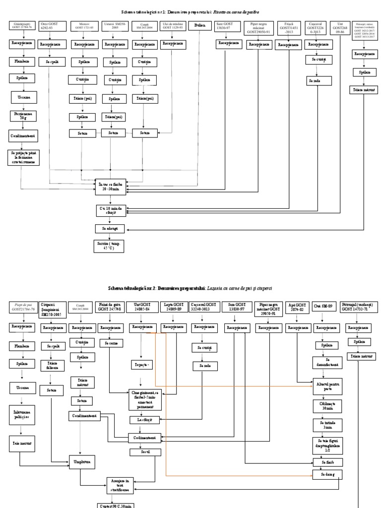 Schema Tehnologică Proect de An | PDF