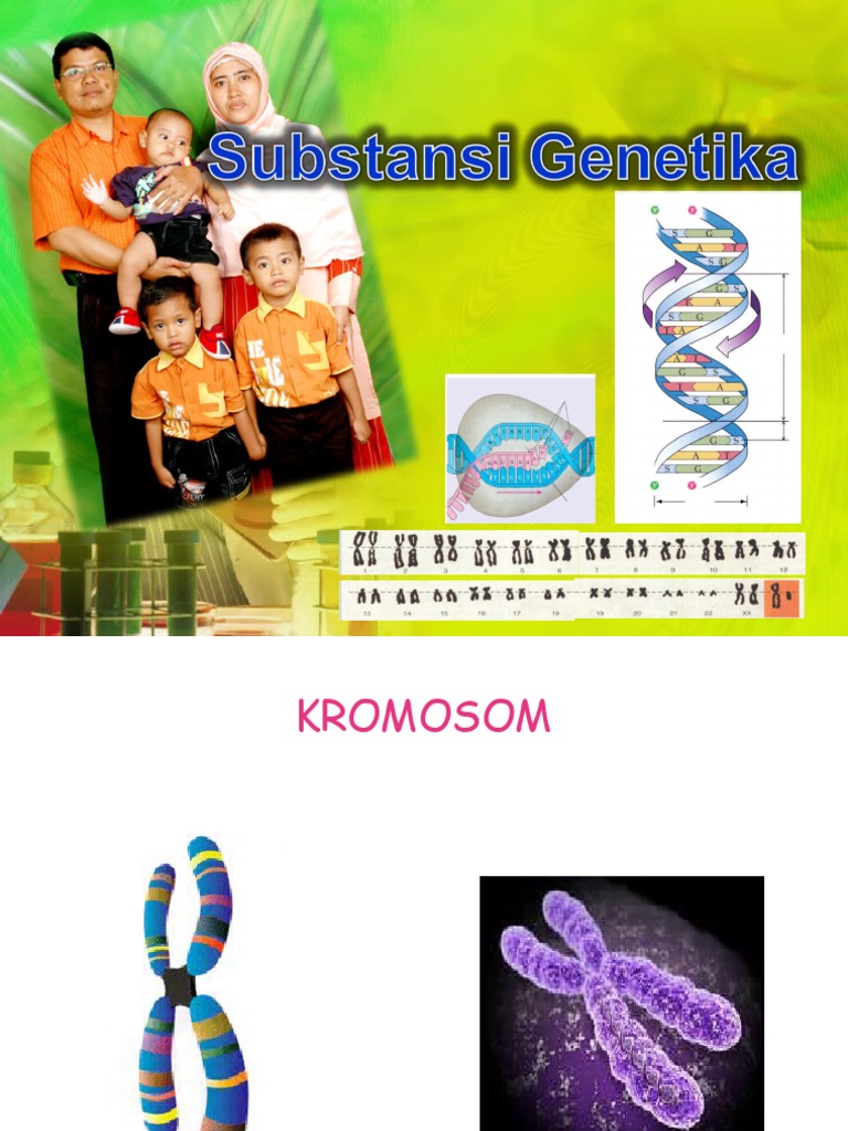 Bab 3 Substansi Genetika - PPT Perbaikan | PDF